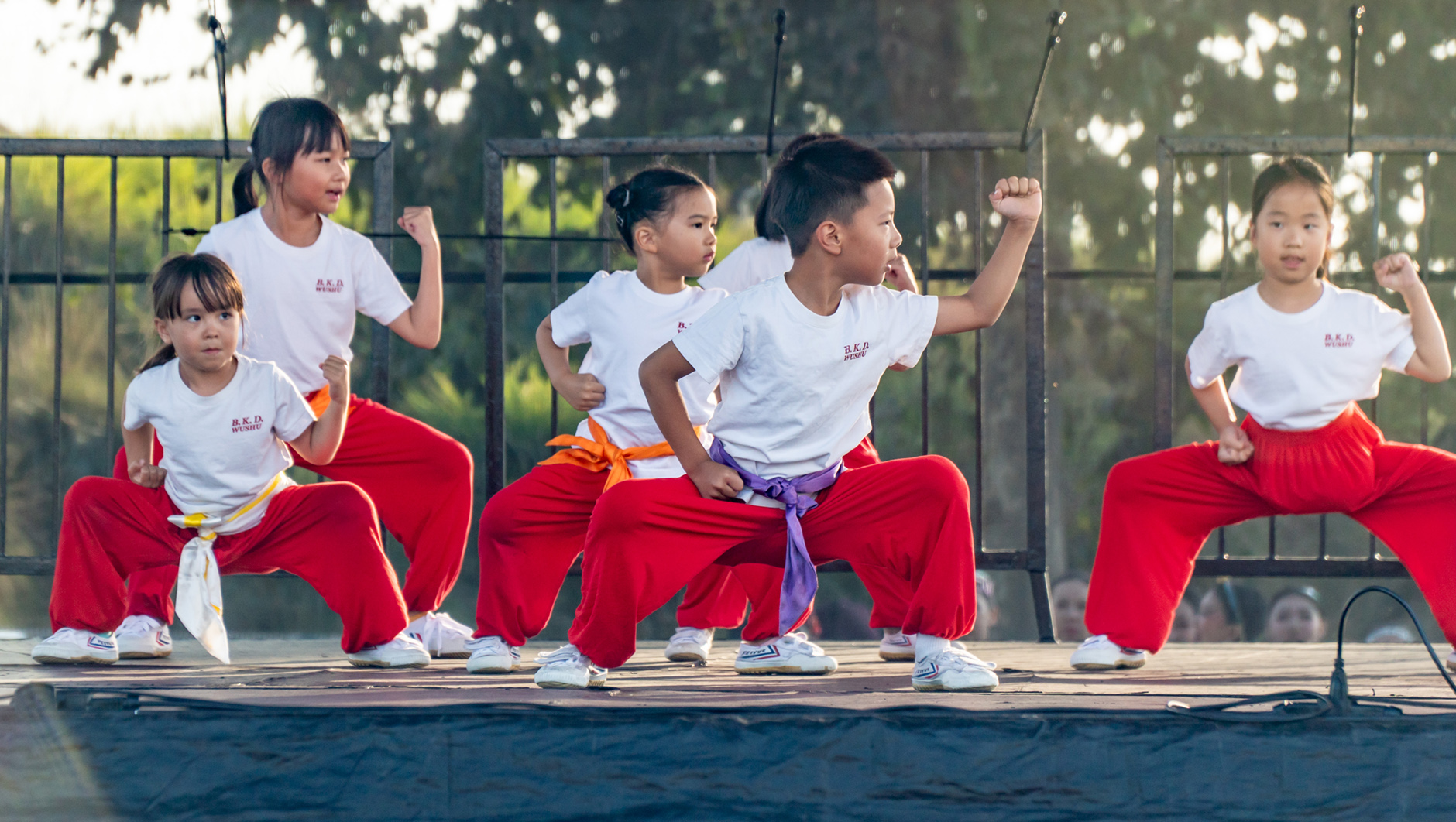 South Coast Chinese Wushu Team Enrollment: Unleash your potential and ...